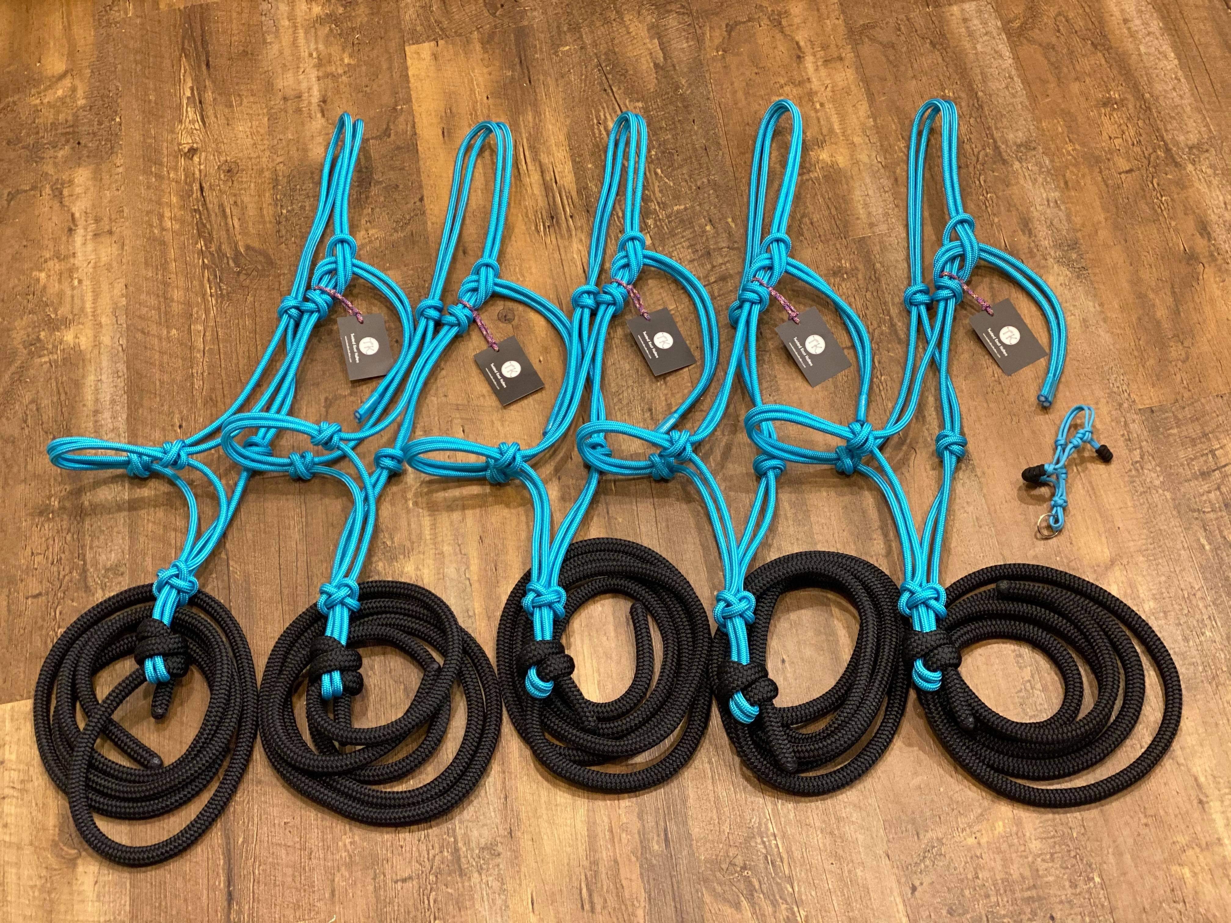 Halters – Painted Desert Ranch