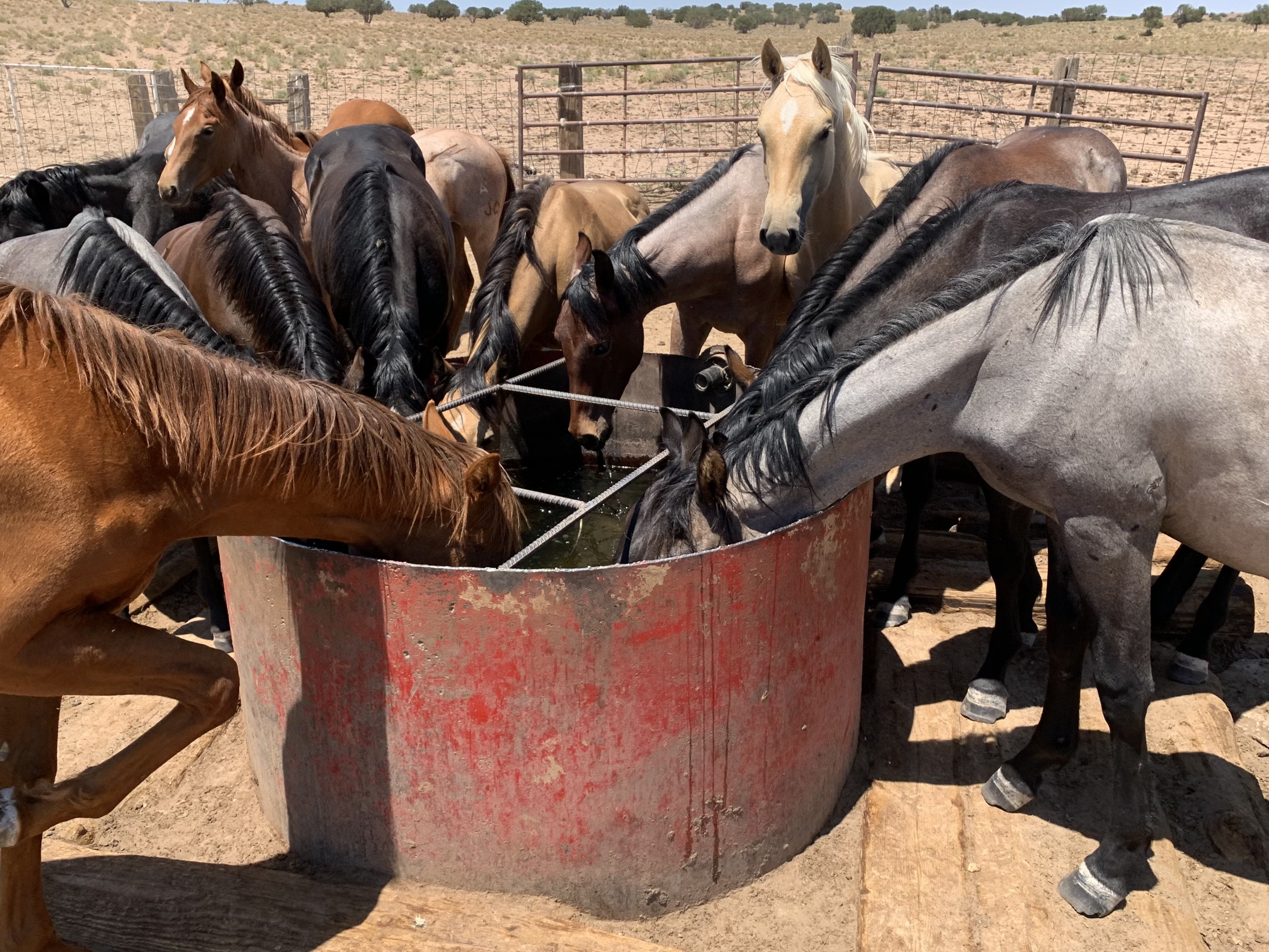 About Us – Painted Desert Ranch