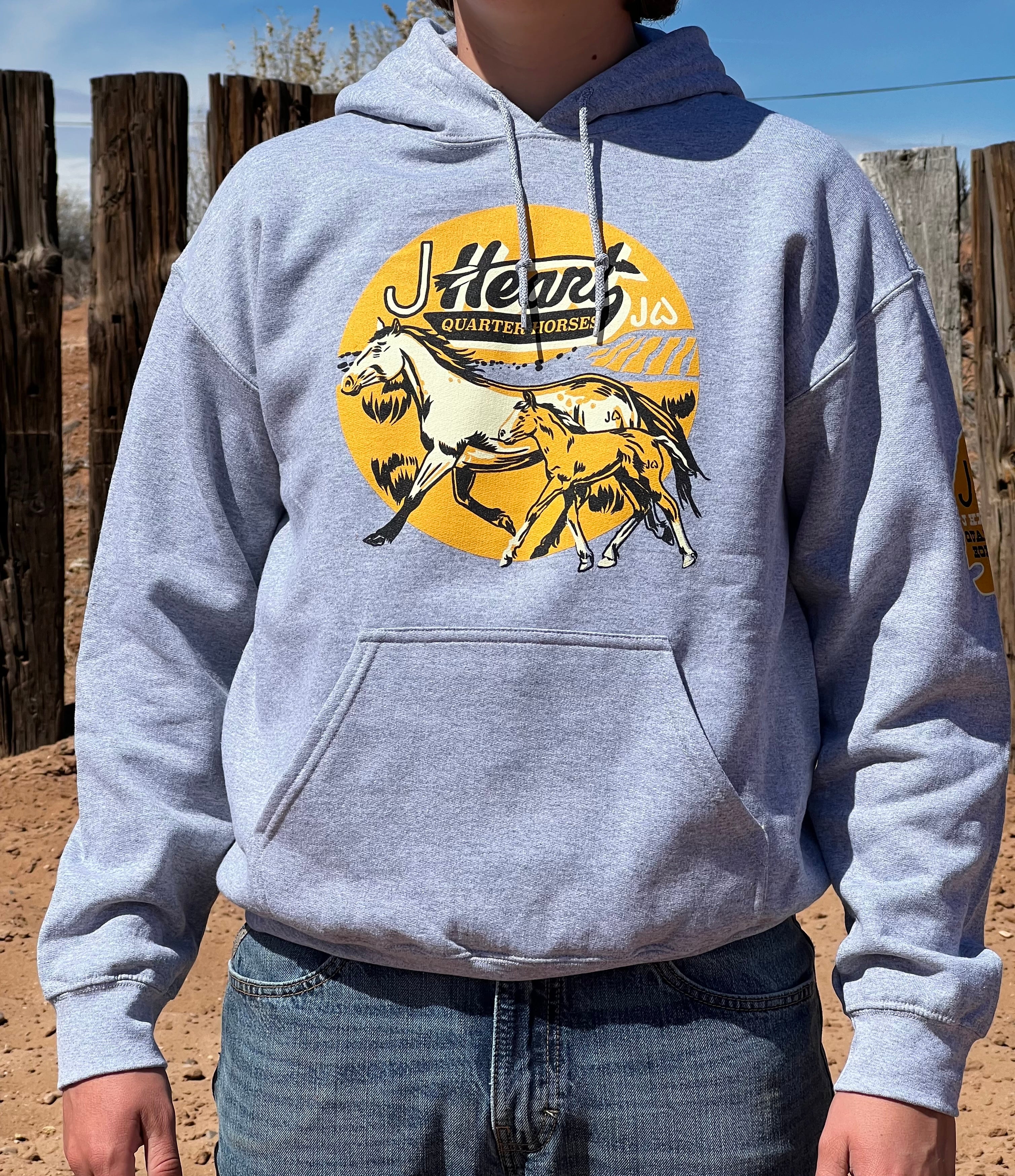 JHeart Quarter Horses – Painted Desert Ranch