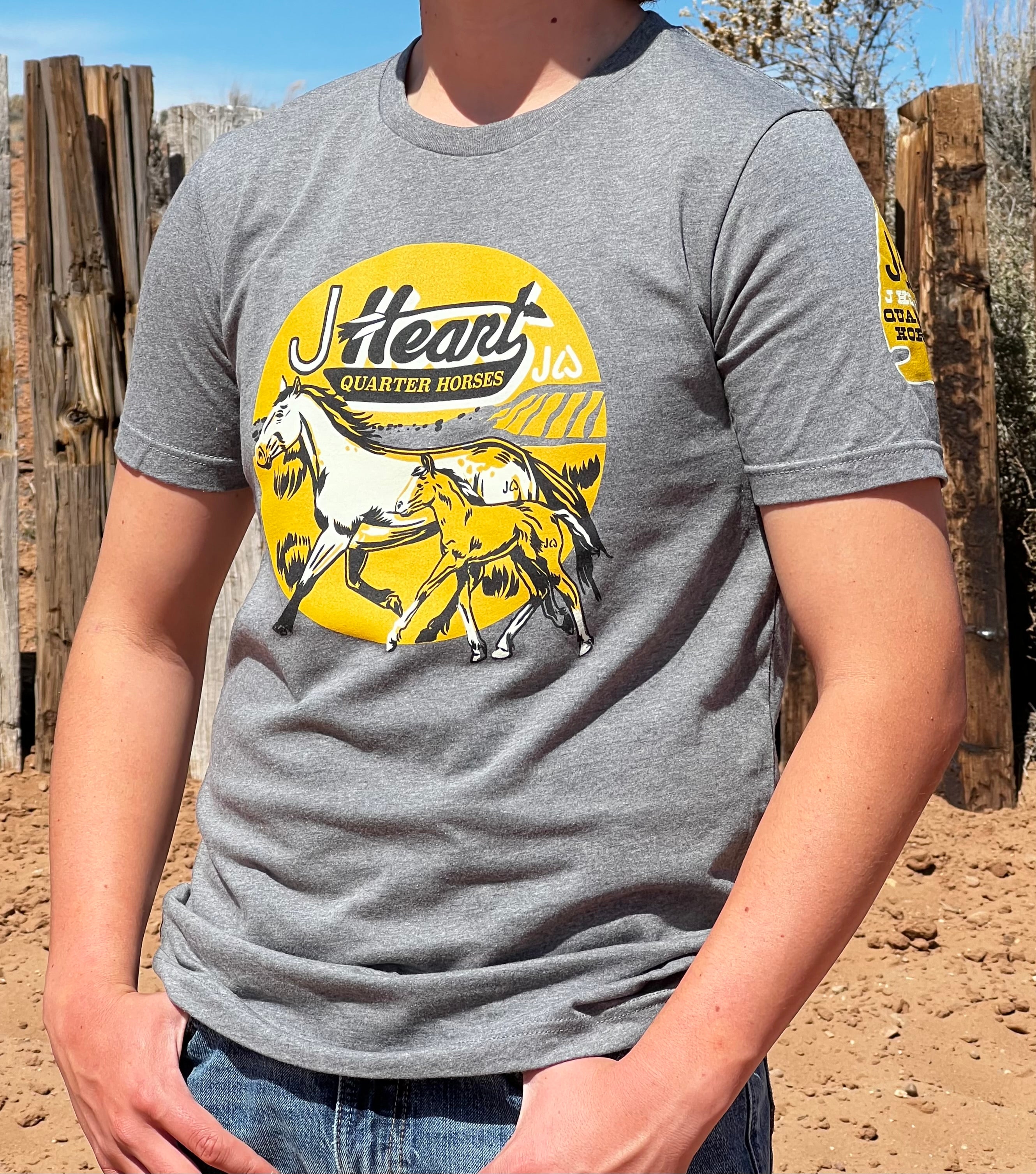 JHeart Quarter Horses – Painted Desert Ranch